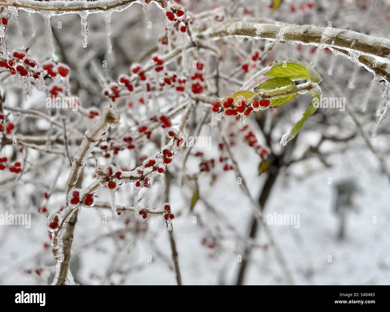 In winter 2020 Everything was frozen. Looked like the time was stopped ...