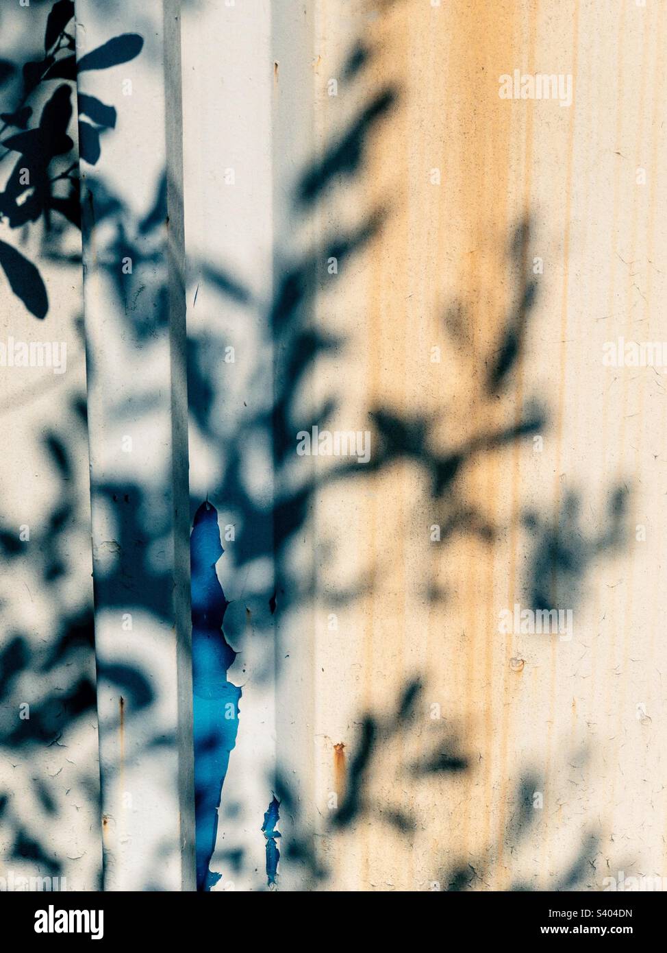 Deep shadow tree hi-res stock photography and images - Alamy