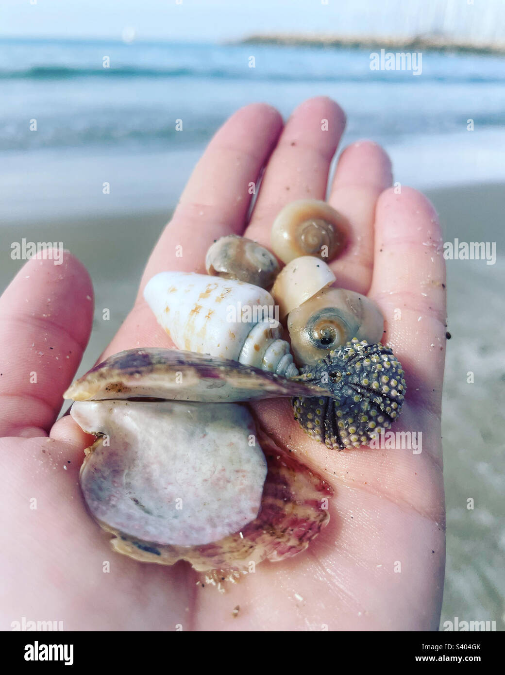 World in your hand hi-res stock photography and images - Alamy