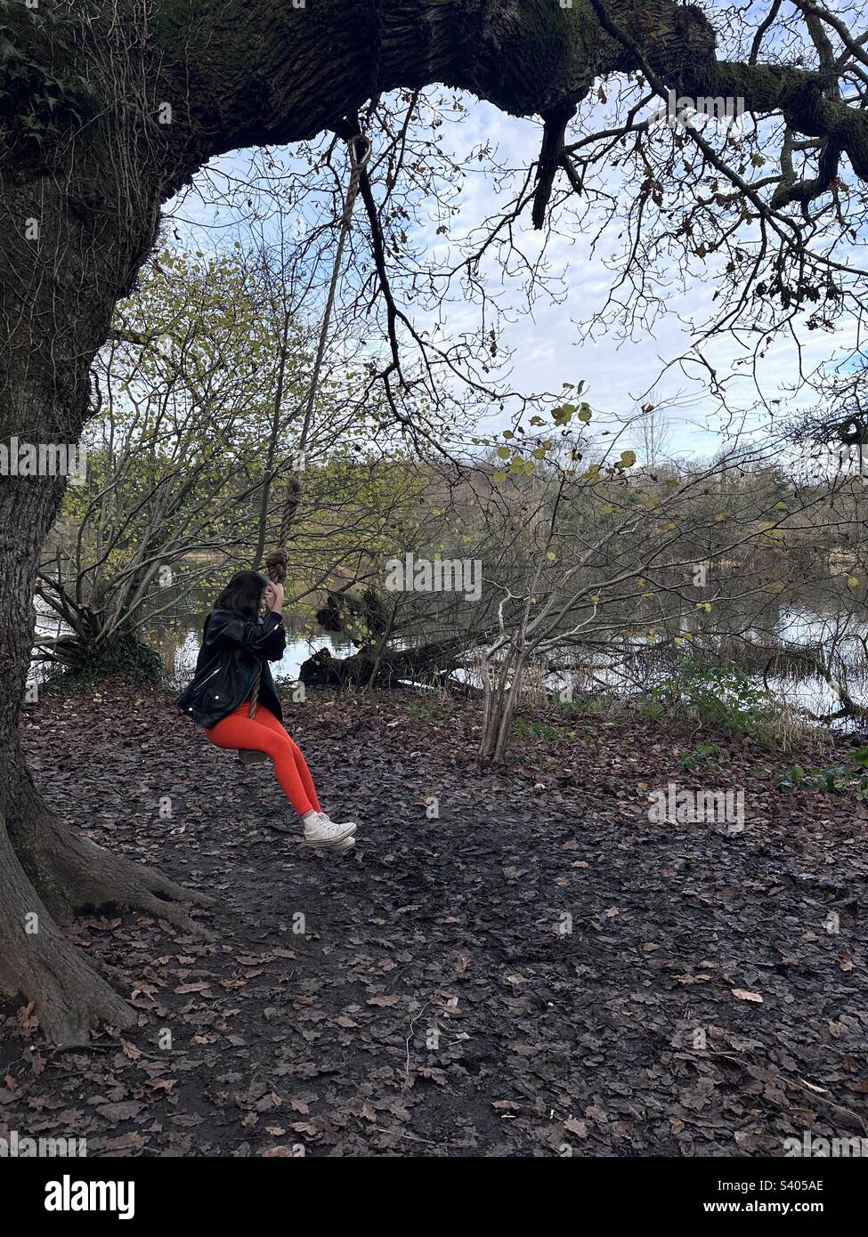 Forest rope swing hi-res stock photography and images - Alamy