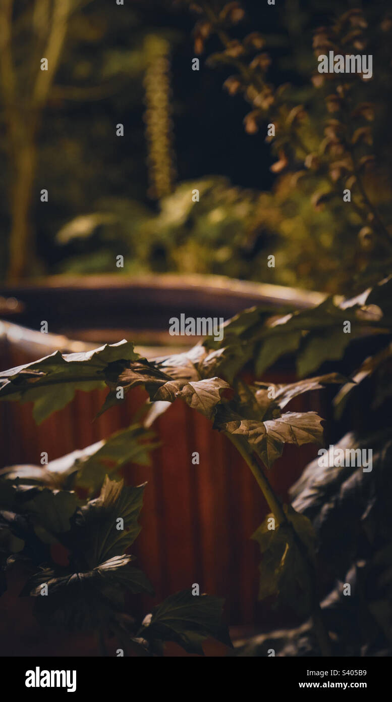 Beautiful outdoor hot tub Stock Photo - Alamy