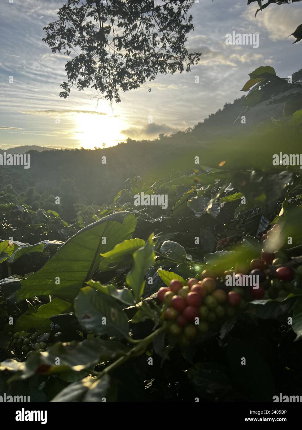 Puerto rico sunrise hi-res stock photography and images - Alamy