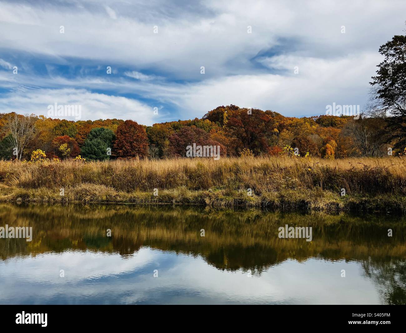 Landscape photo accenting fall colors with a meadow and pond in the ...