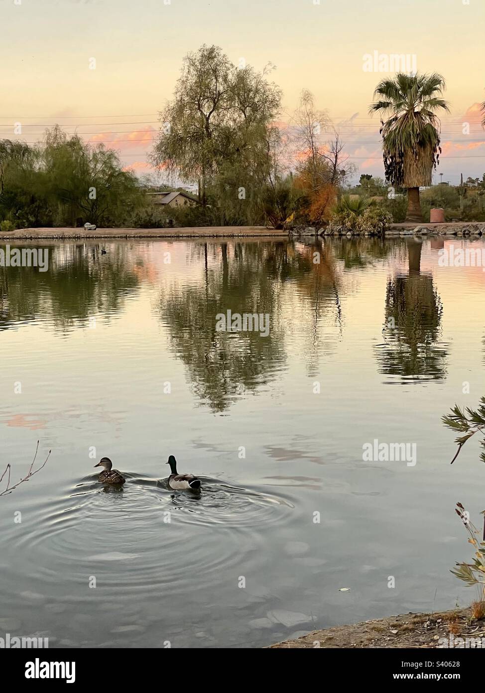 Neighborhood park hi-res stock photography and images - Alamy