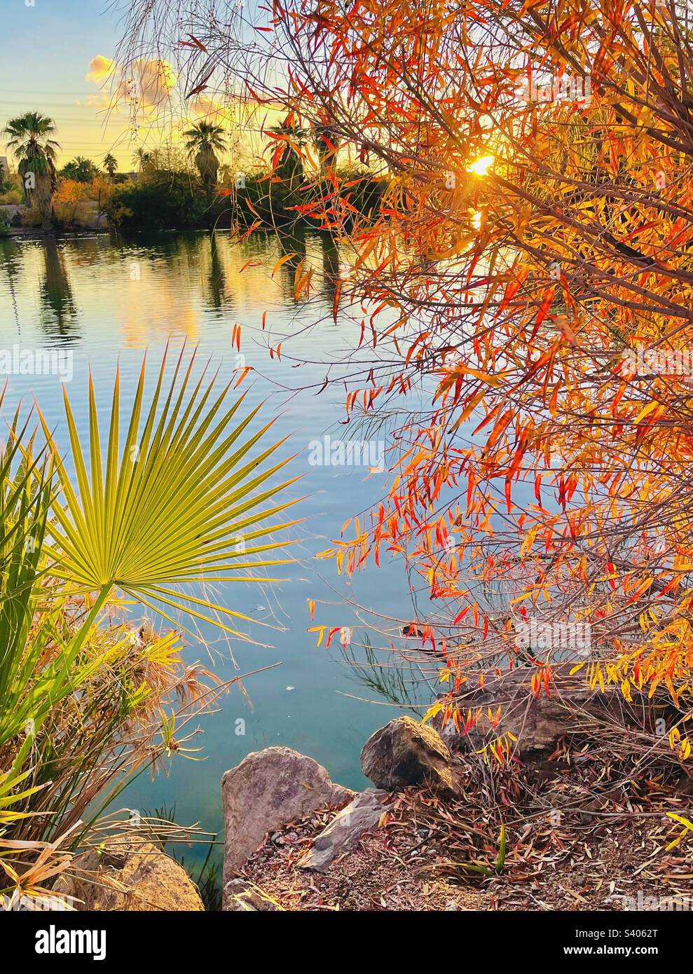 Oasis pond hi-res stock photography and images - Alamy