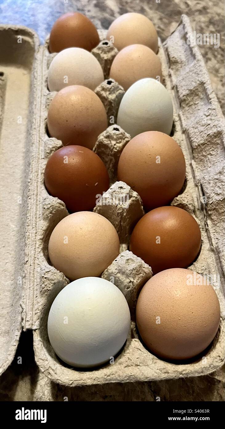 Colourful eggshells hi-res stock photography and images - Alamy