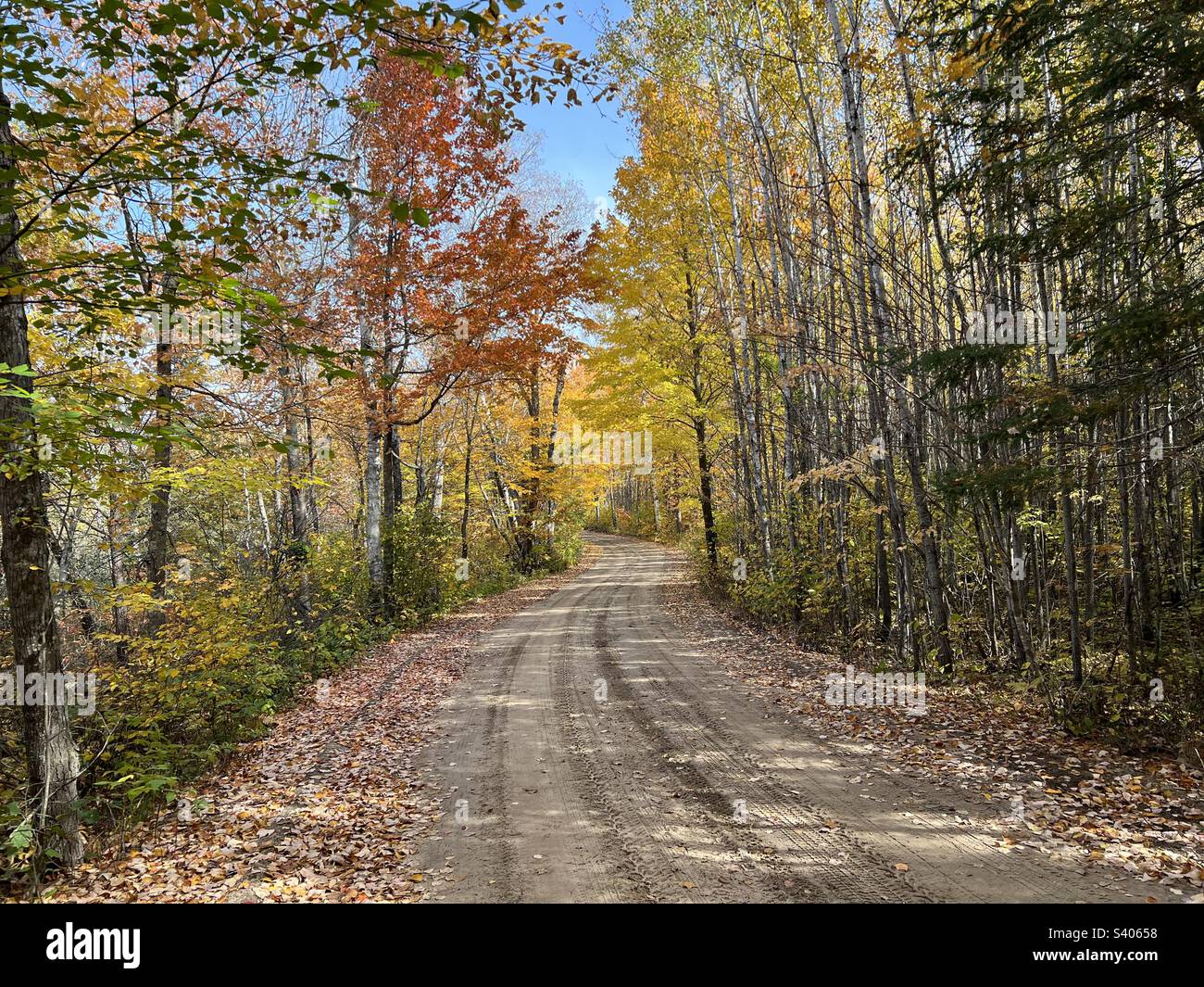Fall colors in northern Minnesota Stock Photo - Alamy