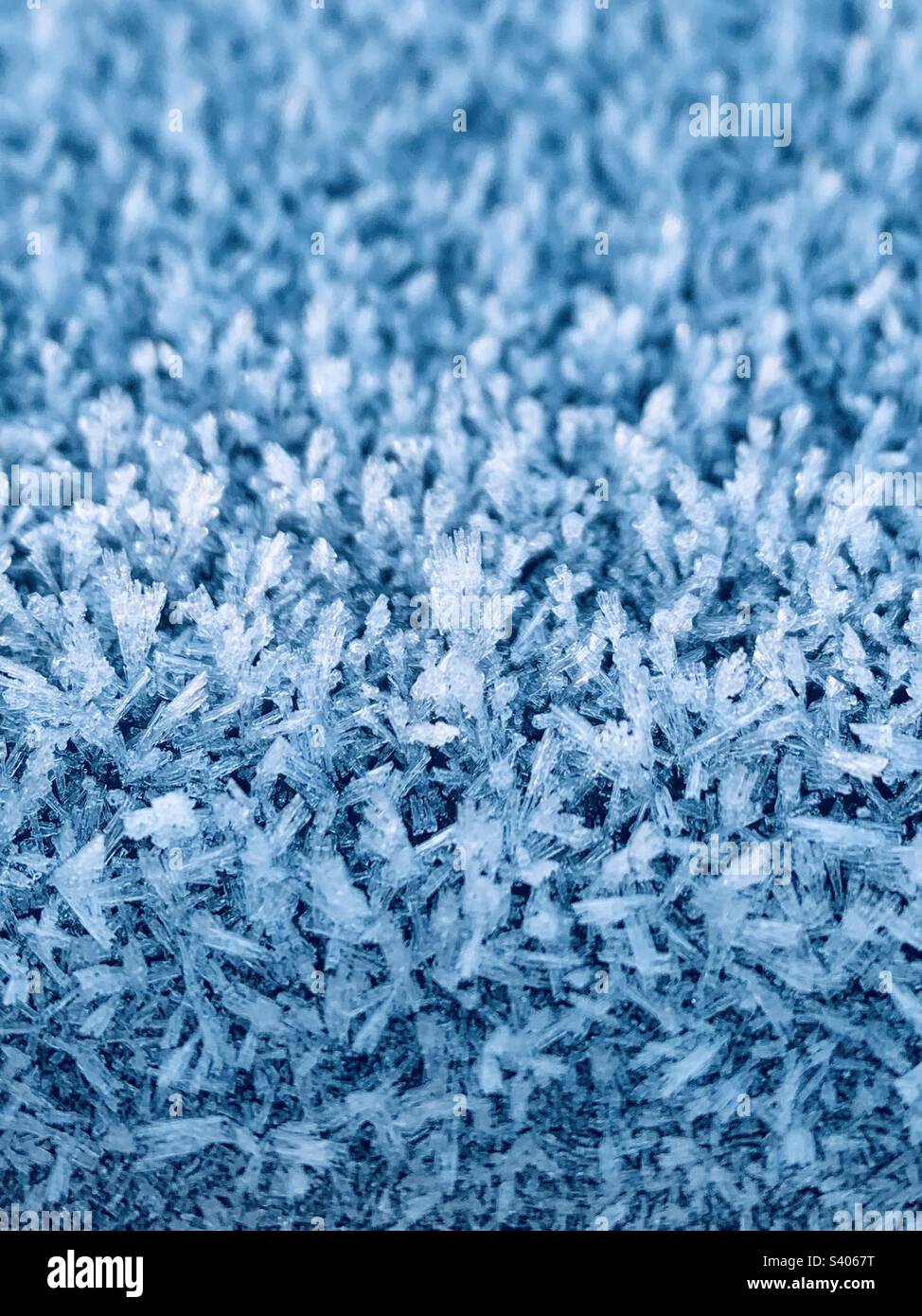 Freezing cold frost close up hi-res stock photography and images - Alamy