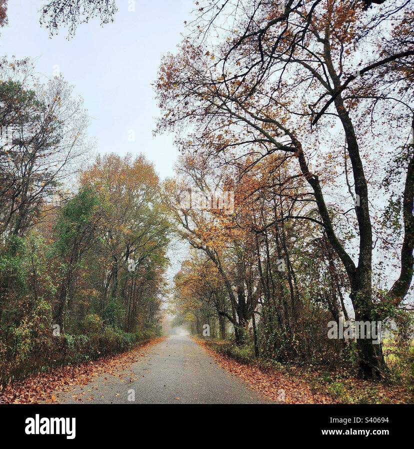 Fog vibes hi-res stock photography and images - Alamy