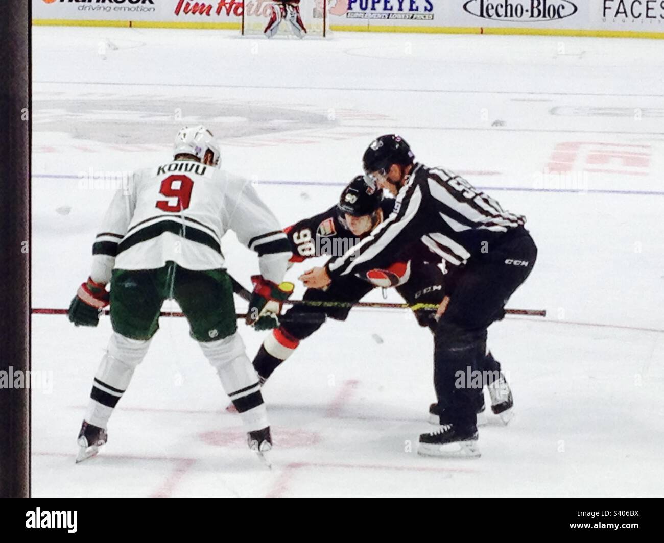 Ottawa Senators vs. Minnesota Wild face off Stock Photo - Alamy
