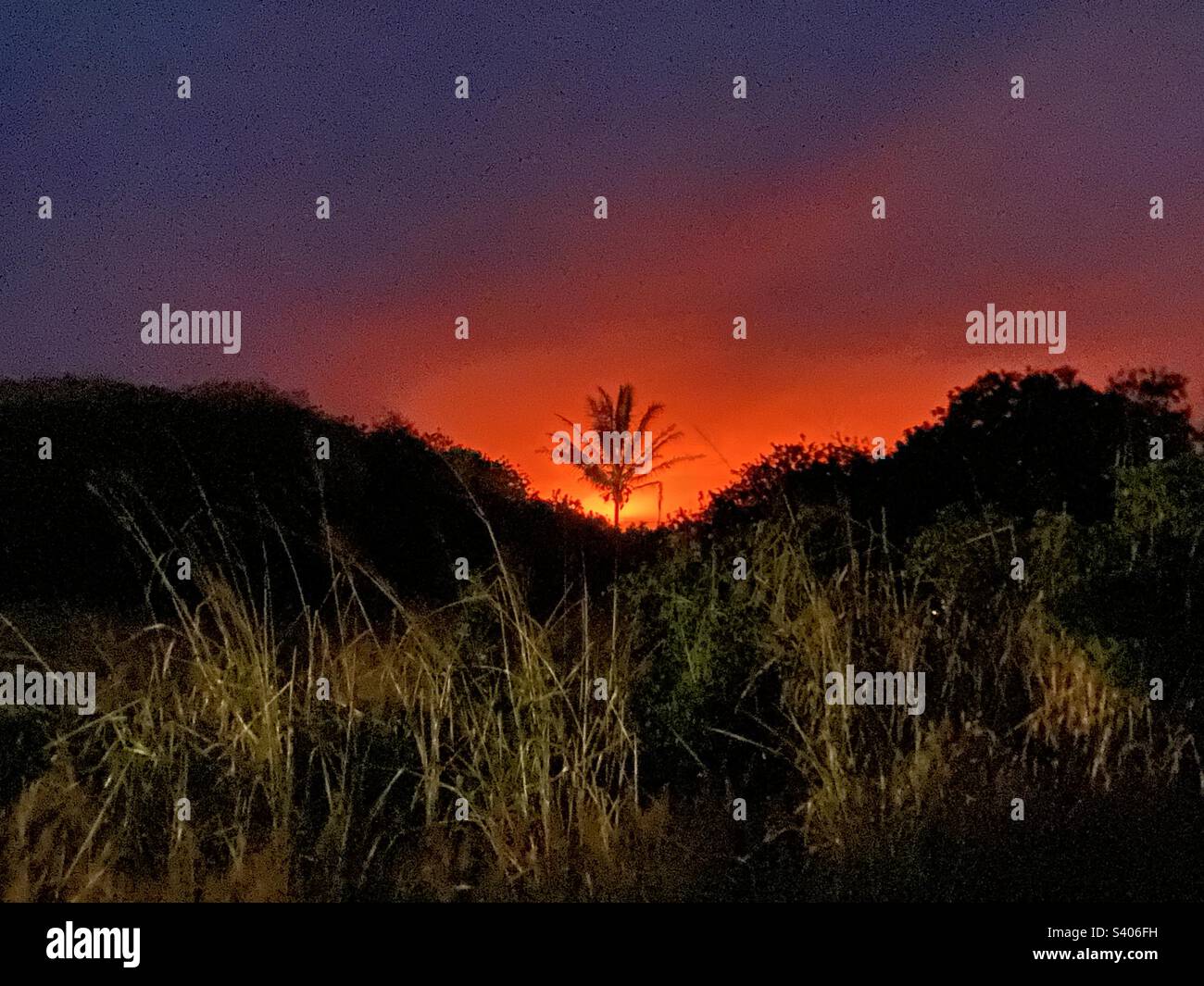 Lava lighting up the Naalehu sky during the 2022 Eruption Stock Photo ...