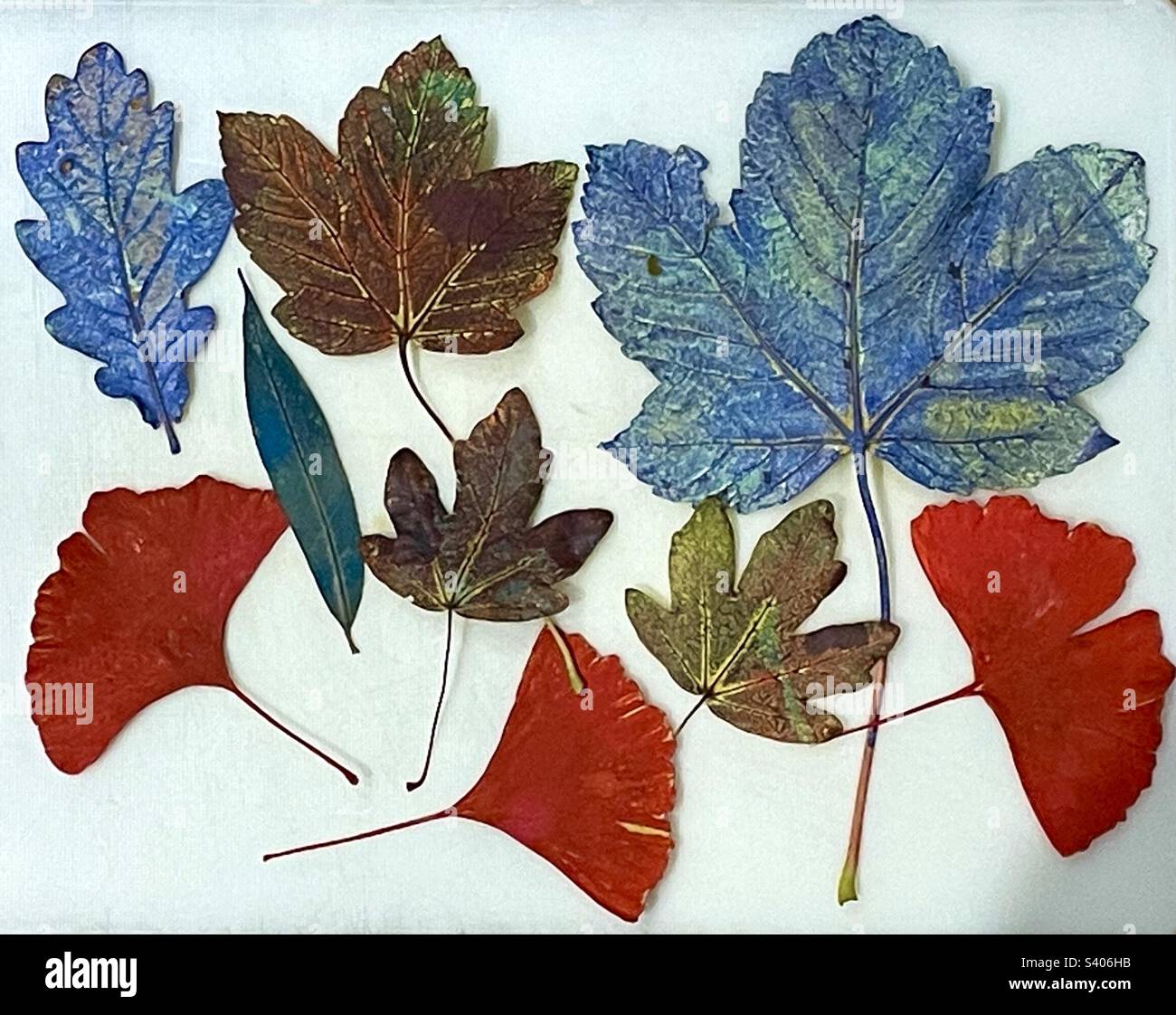 Painted oak leaves hi-res stock photography and images - Alamy