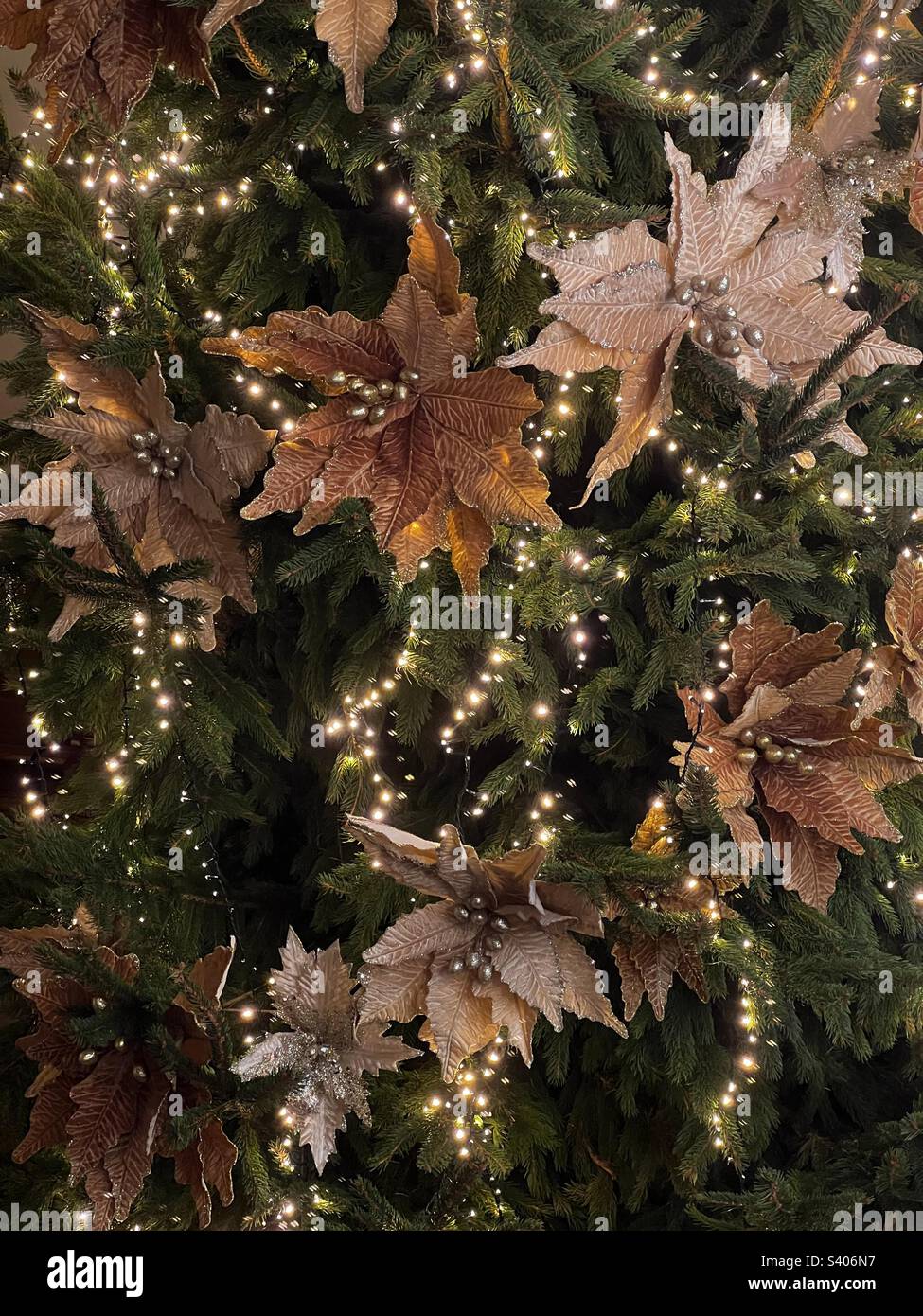 Christmas tree leaf hi-res stock photography and images - Alamy