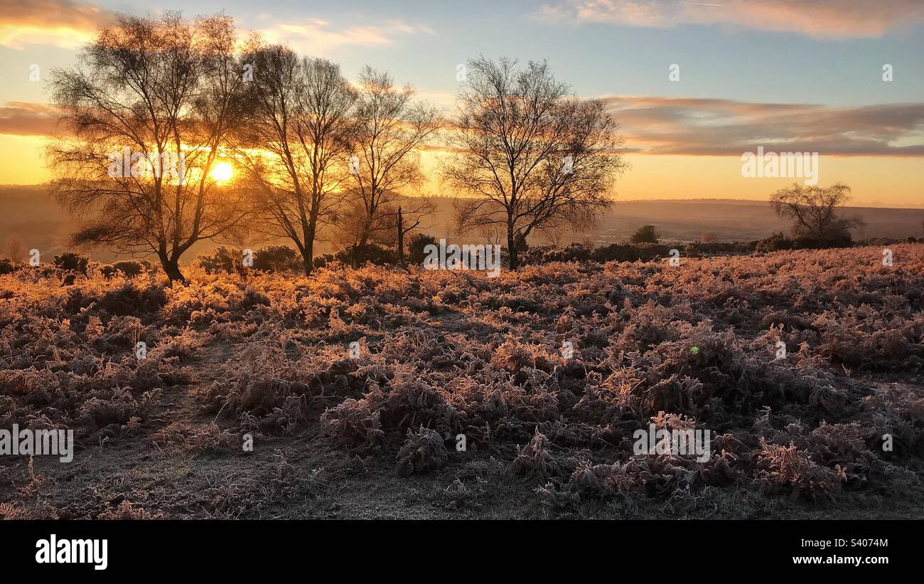New dawn winter hi-res stock photography and images - Alamy