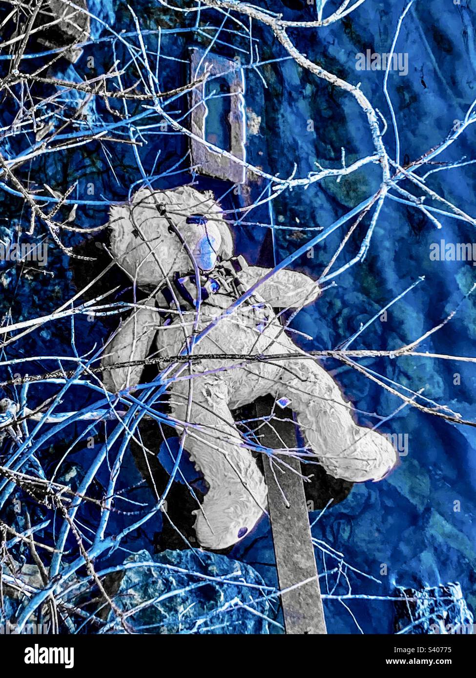 Discarded teddy bear washed ashore Stock Photo - Alamy