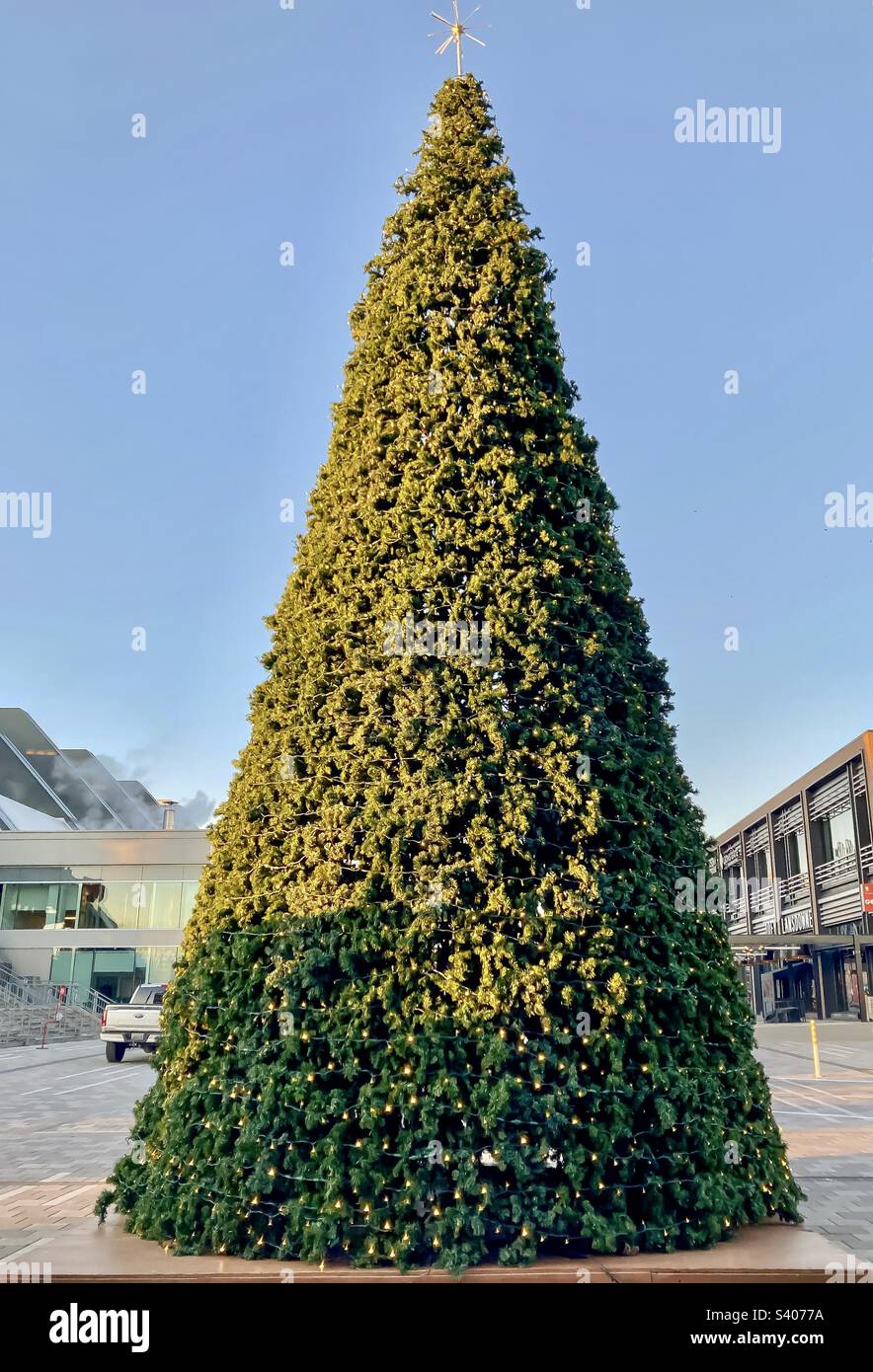 Large Christmas tree Stock Photo - Alamy