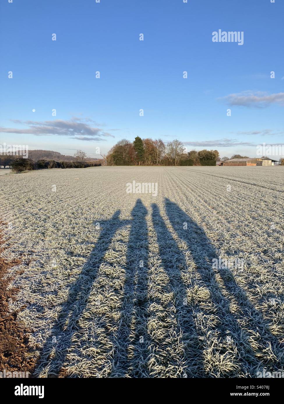 Family shadows walking hi-res stock photography and images - Alamy