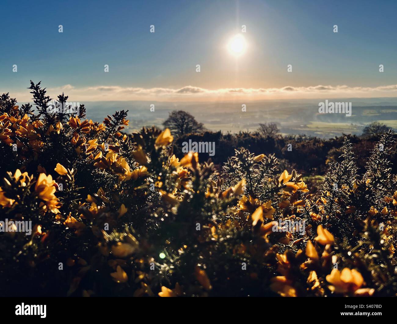 The quantock hills hi-res stock photography and images - Alamy
