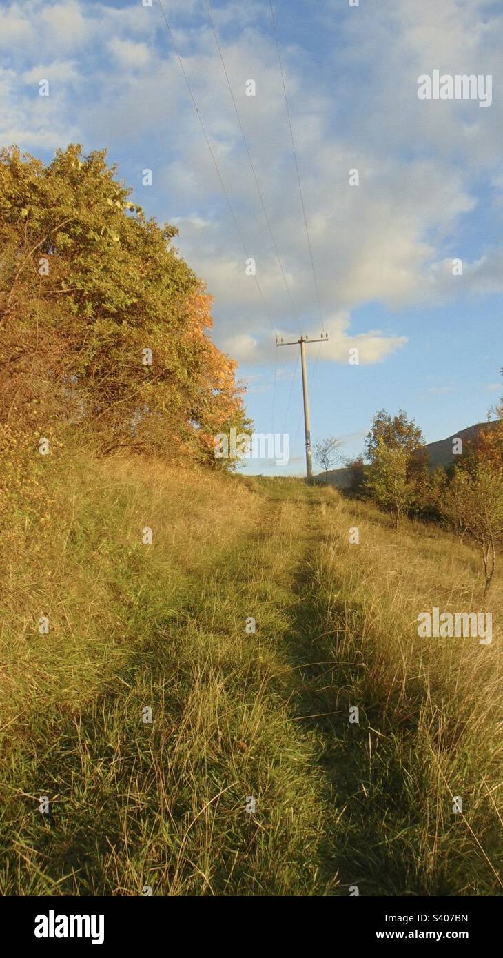 Priroda hi-res stock photography and images - Alamy