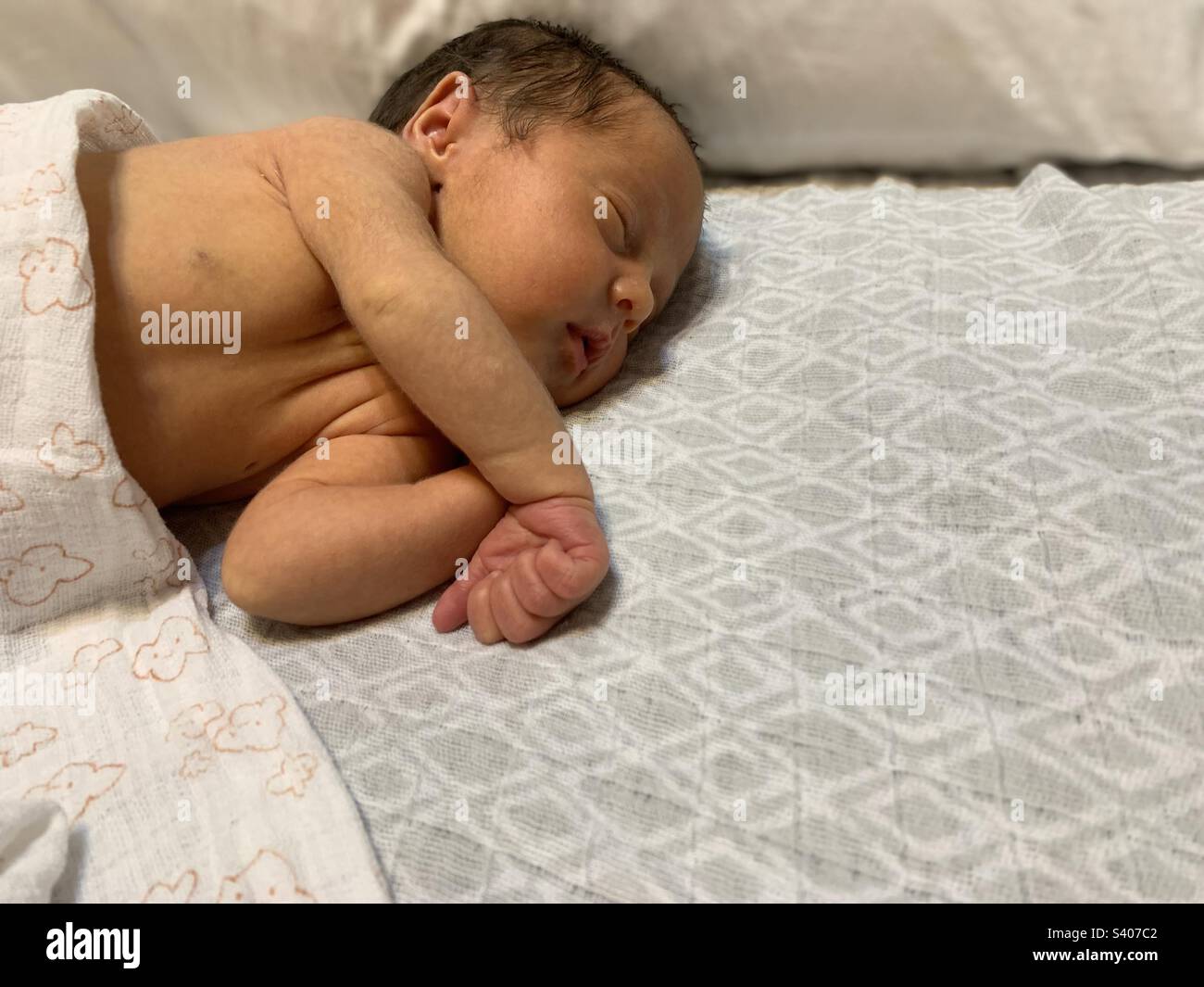 Sleeping late hi-res stock photography and images - Alamy