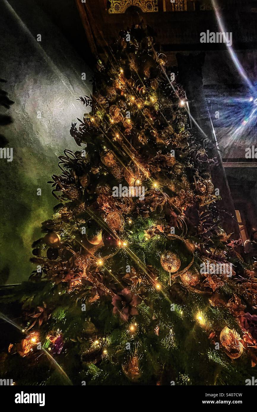 London christmas lights tree hi-res stock photography and images - Alamy