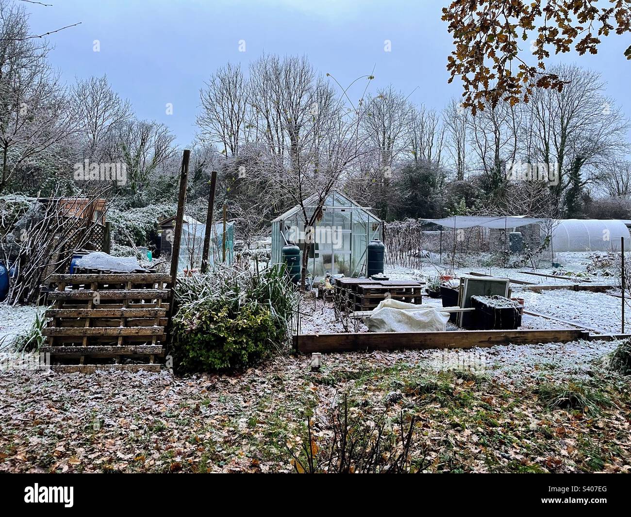 The allotments in winter Stock Photo - Alamy