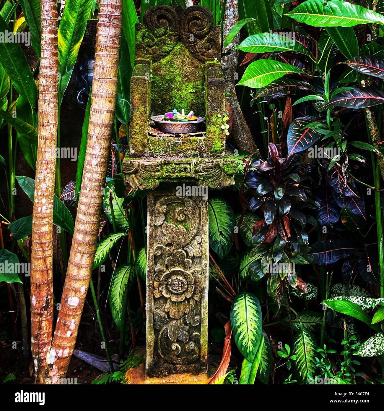 Morning offering in Bali Stock Photo - Alamy