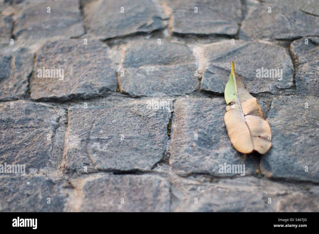 Rock on pedestal hi-res stock photography and images - Alamy