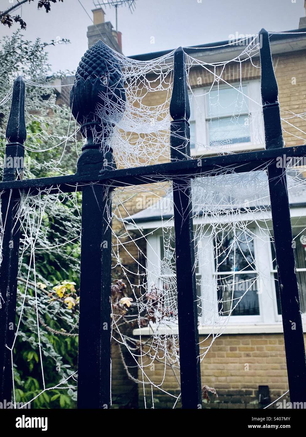 Frozen spider web on fence hi-res stock photography and images - Alamy