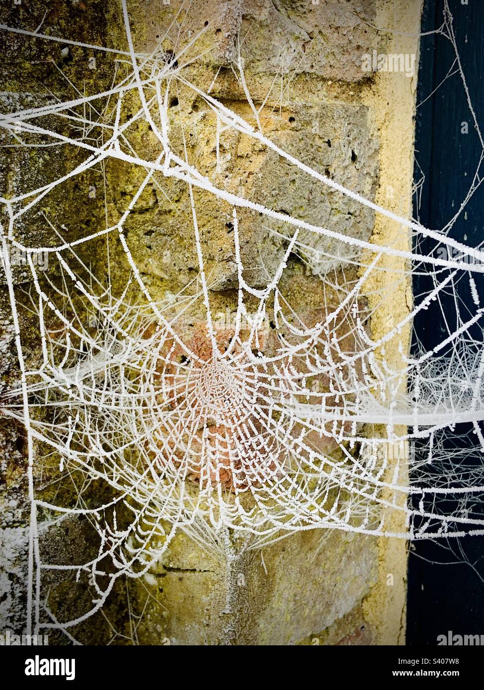 A frozen cobweb hanging from a wall Stock Photo - Alamy