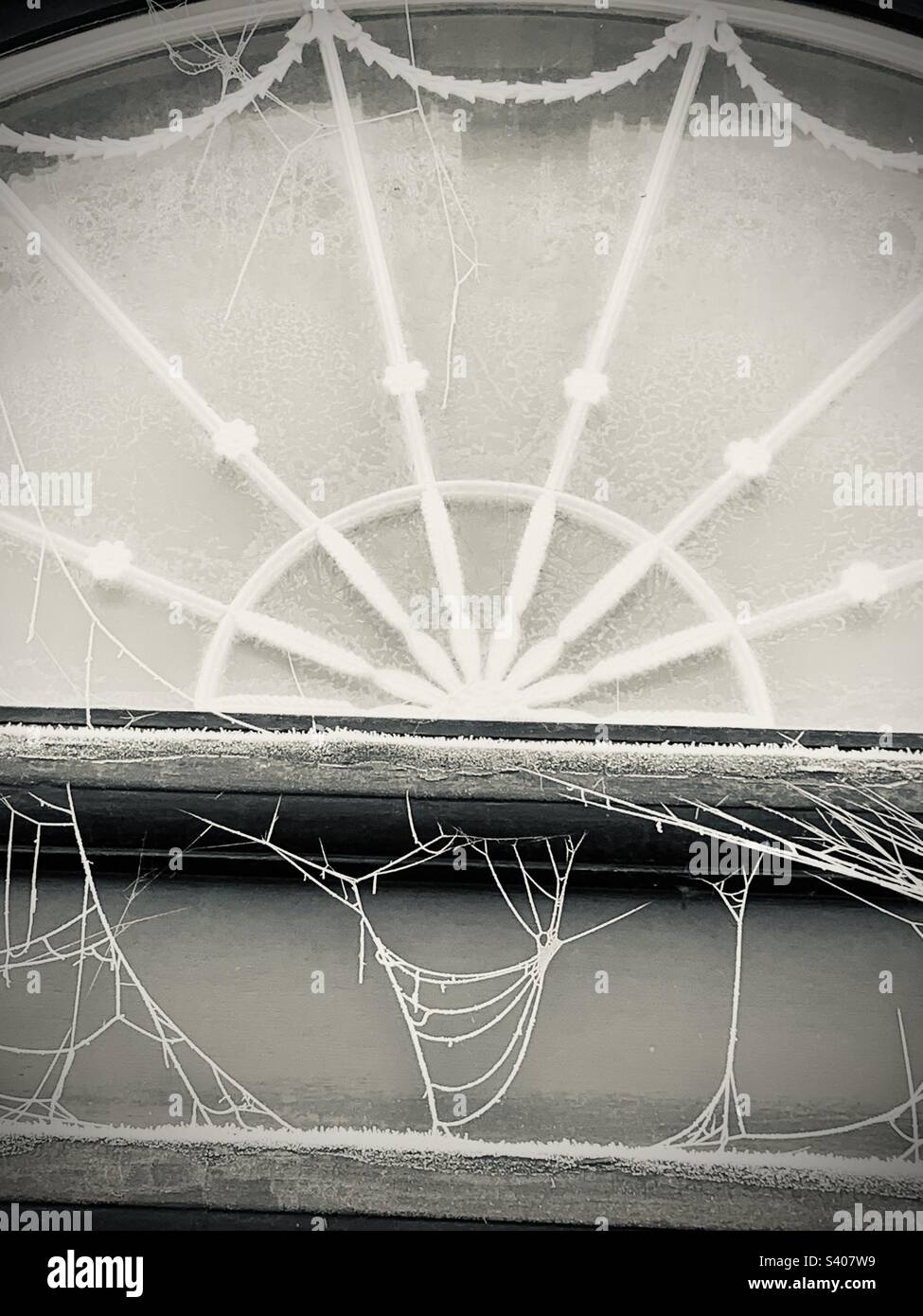 Frozen cobwebs hi-res stock photography and images - Alamy