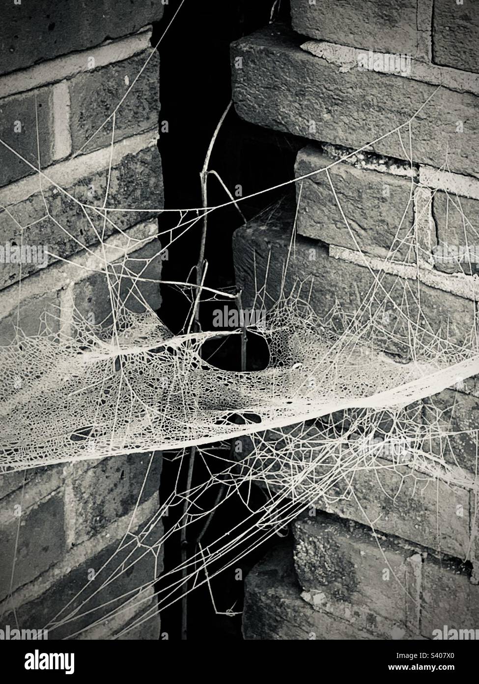 Black and white photo of cobwebs on walls Stock Photo - Alamy