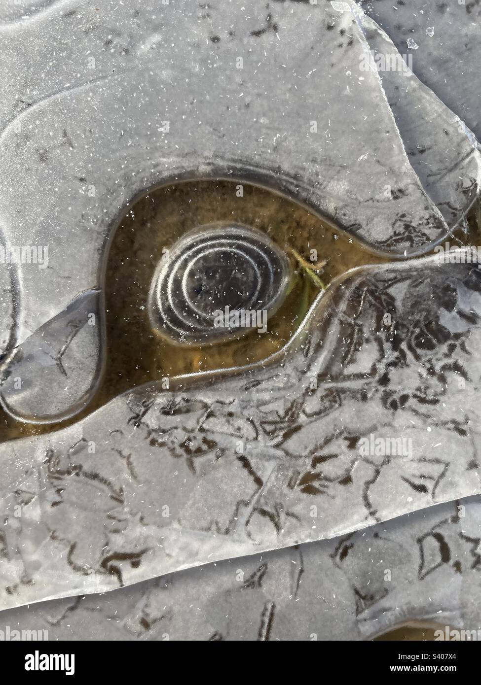 Ice wonderland hi-res stock photography and images - Alamy