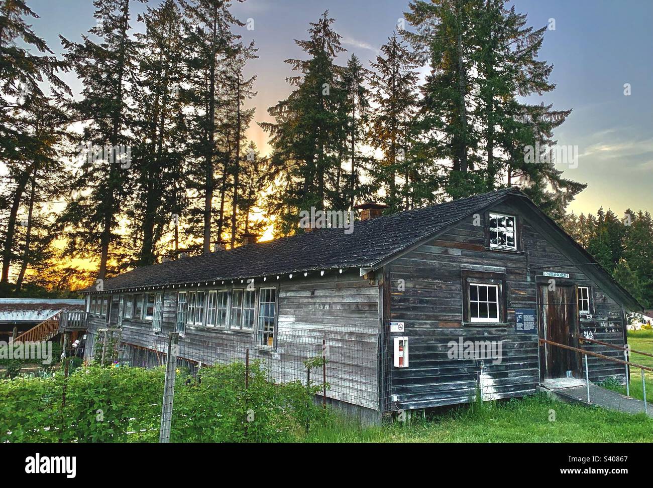 Vintagenature hi-res stock photography and images - Alamy