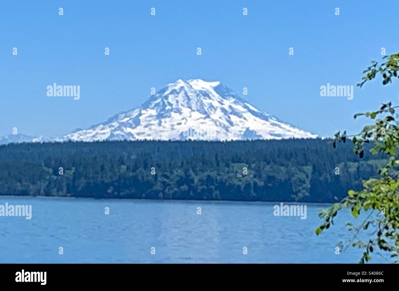 Vintagenature hi-res stock photography and images - Alamy