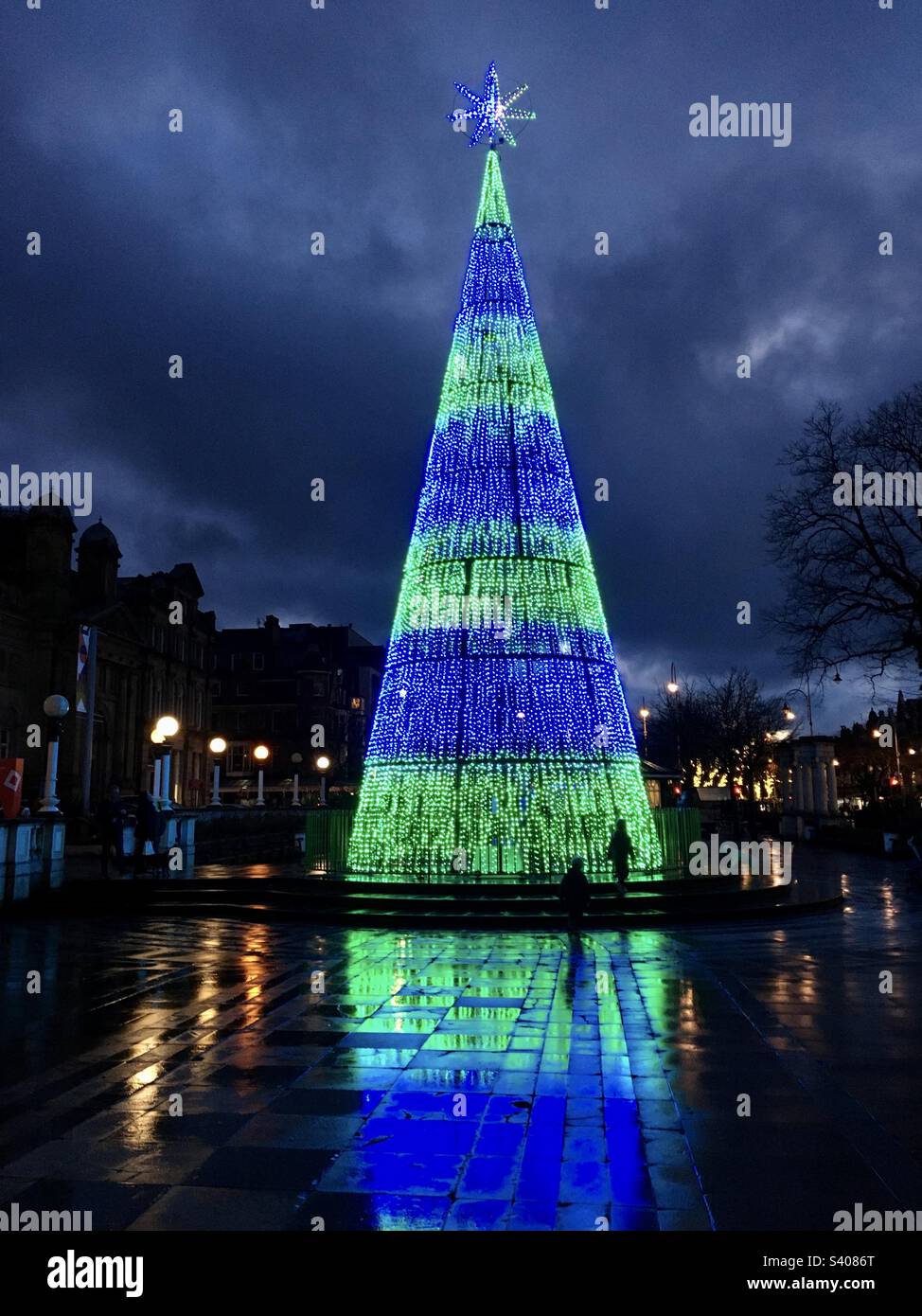 Wet christmas tree hi-res stock photography and images - Alamy
