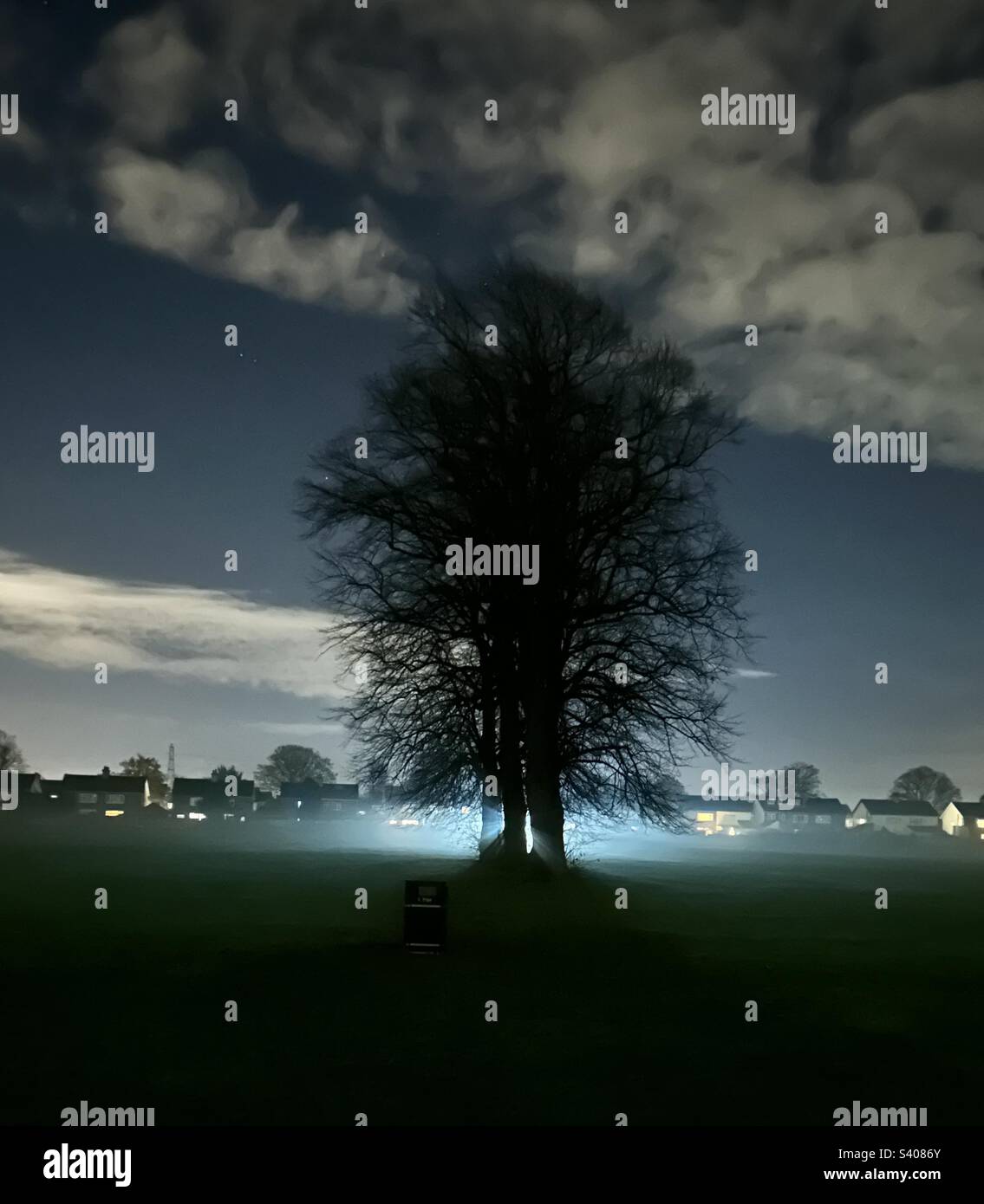 Night trees hi-res stock photography and images - Alamy