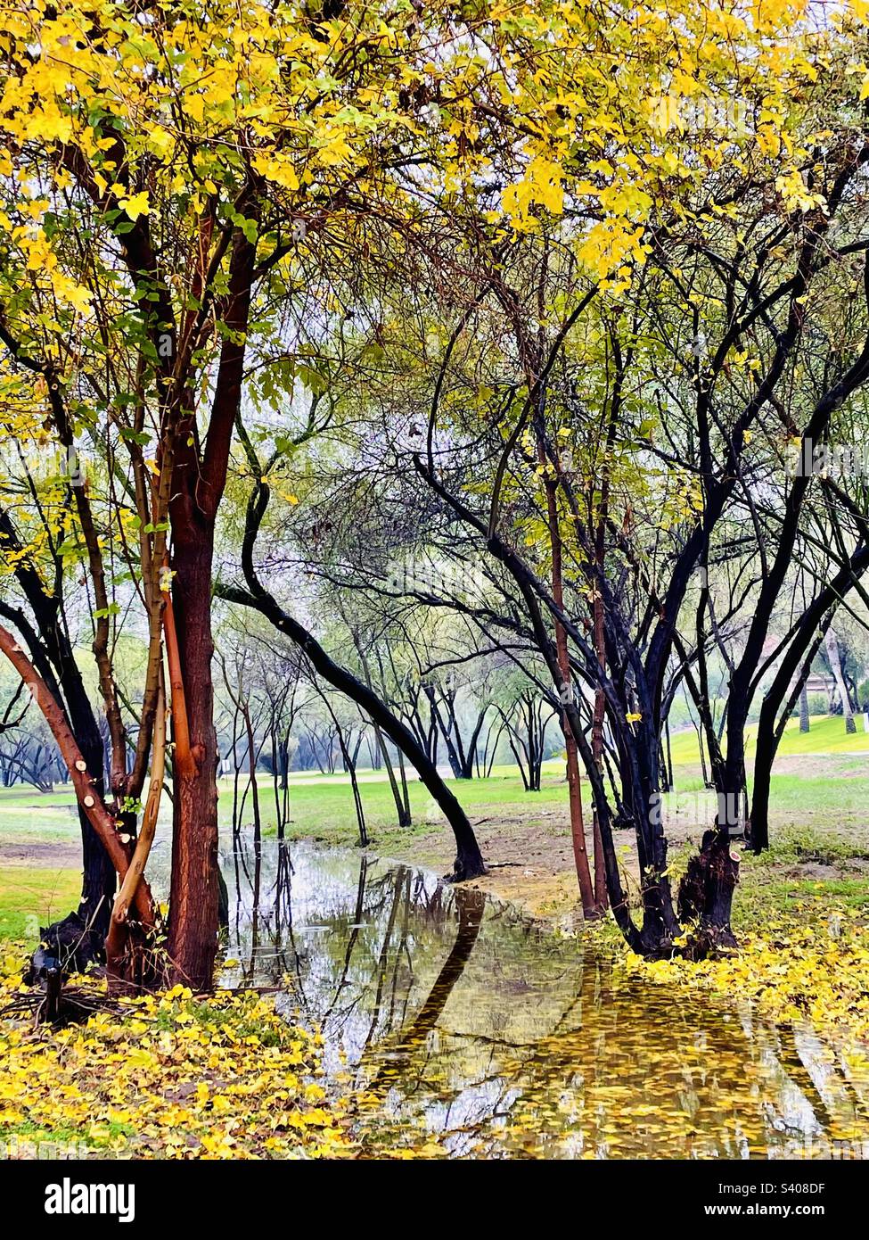 Rain filled channel hi-res stock photography and images - Alamy