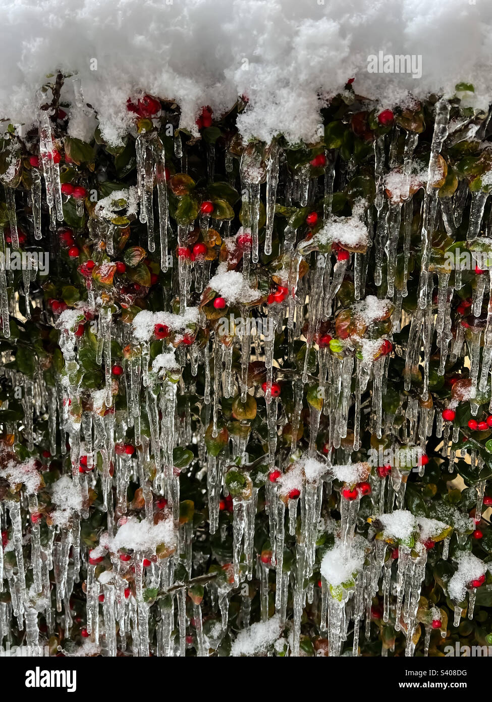 Snow icicles hi-res stock photography and images - Alamy