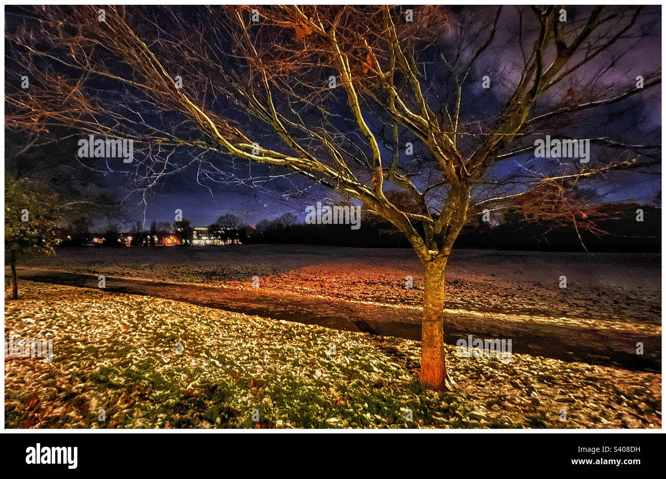 Night in Peckham rye Stock Photo - Alamy