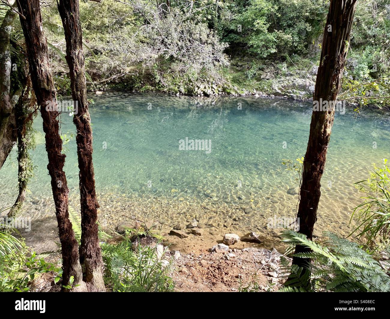 River water clear Stock Photo - Alamy