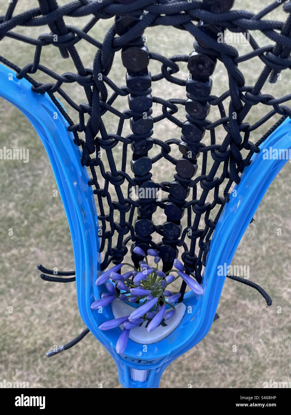 Lacrosse pocket hi-res stock photography and images - Alamy