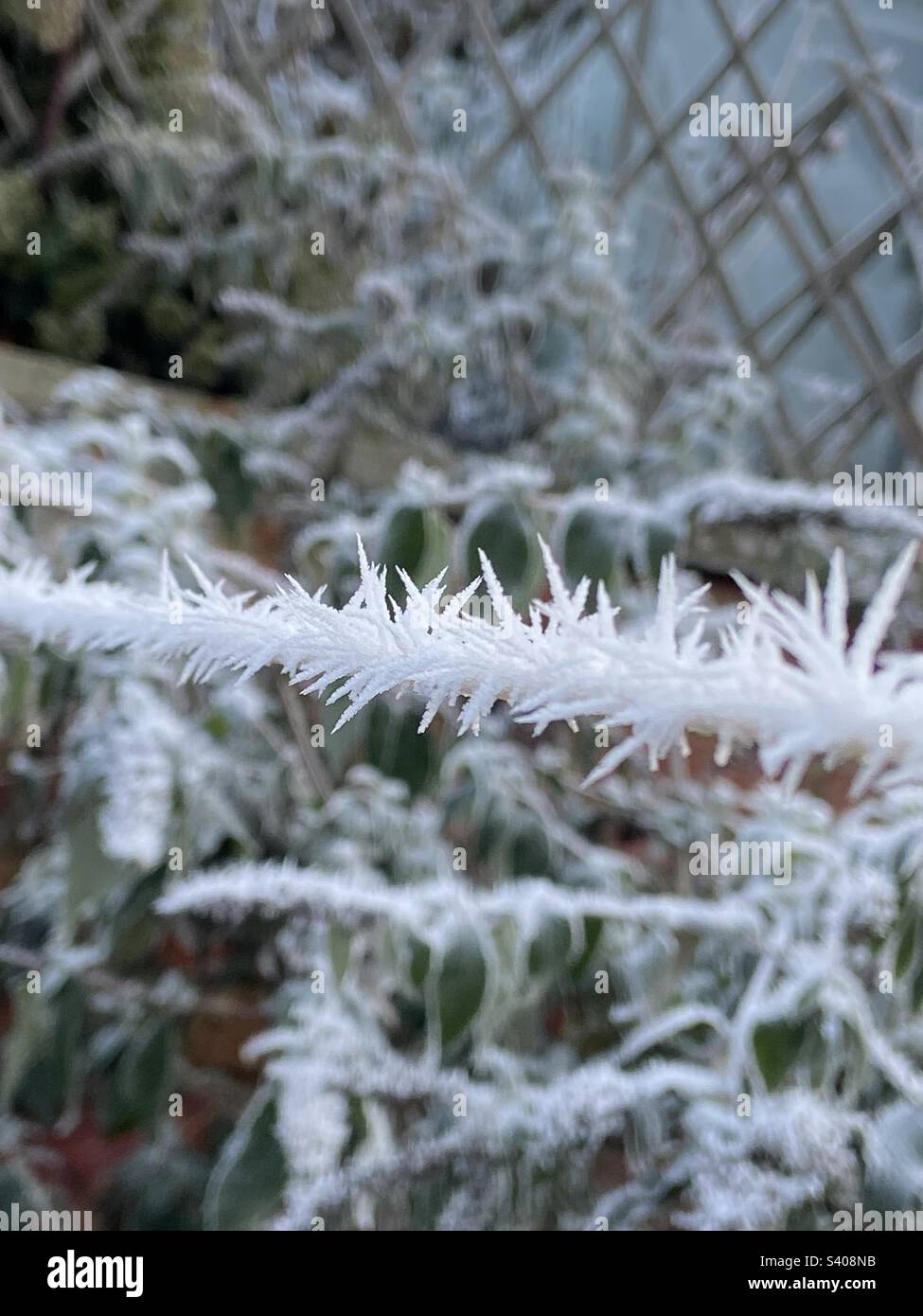 Frozen washing line Stock Photo - Alamy