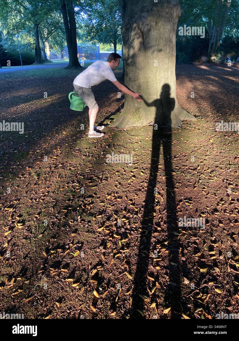 Shaking trees hi-res stock photography and images - Alamy