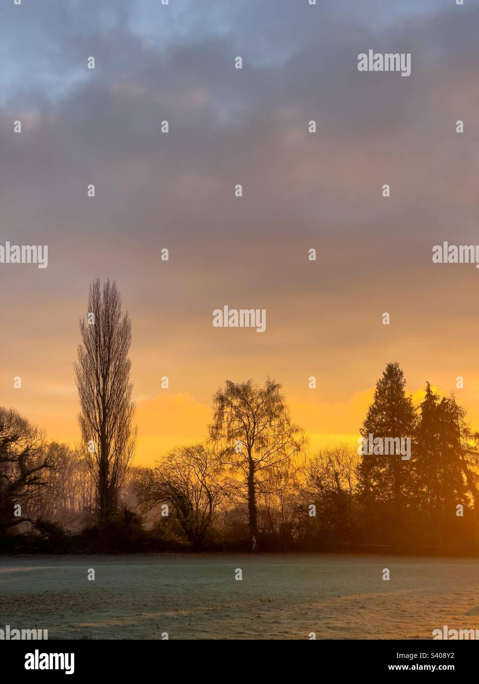 Sunrise silhouettes trees in hi-res stock photography and images - Alamy