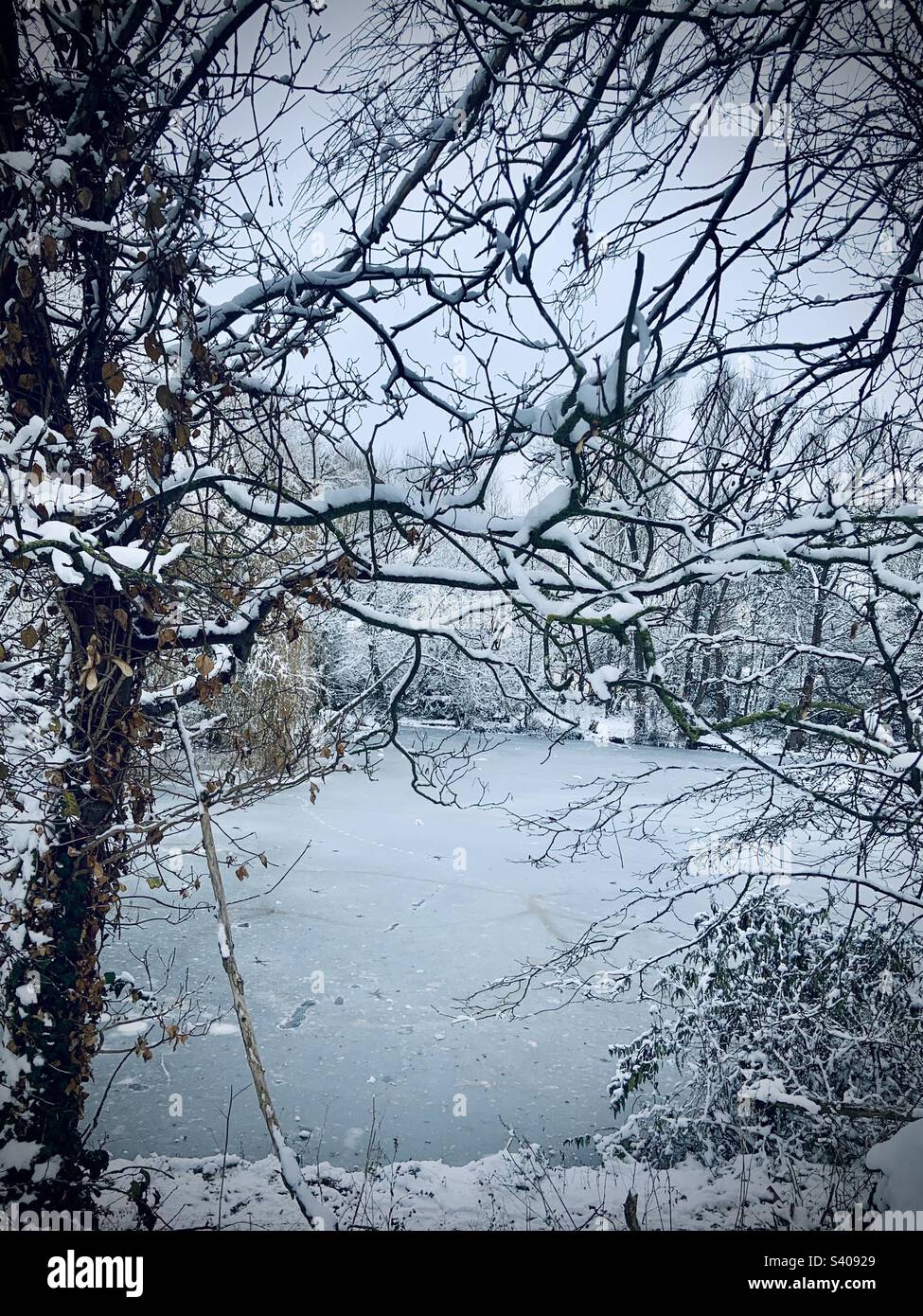 With icy scene hi-res stock photography and images - Alamy