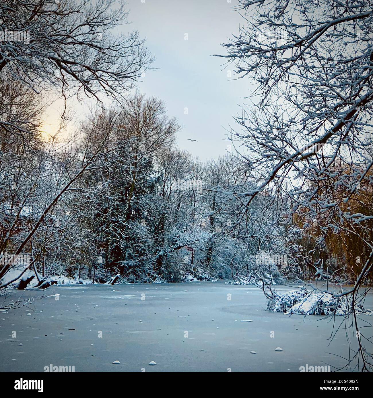 With icy scene hi-res stock photography and images - Alamy