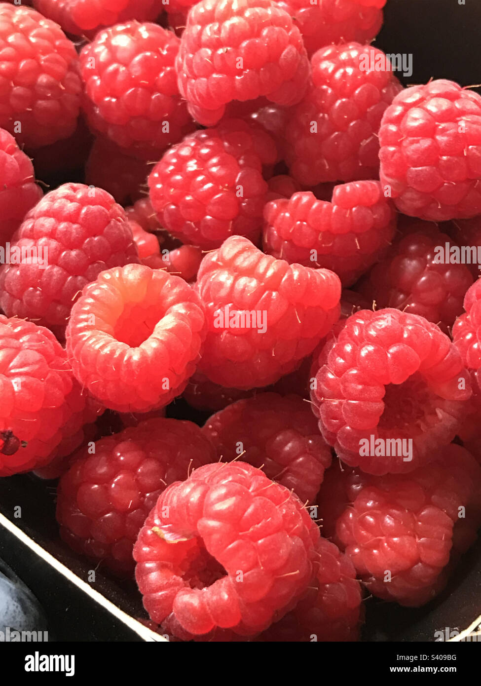 Monochromatic fruit hi-res stock photography and images - Alamy