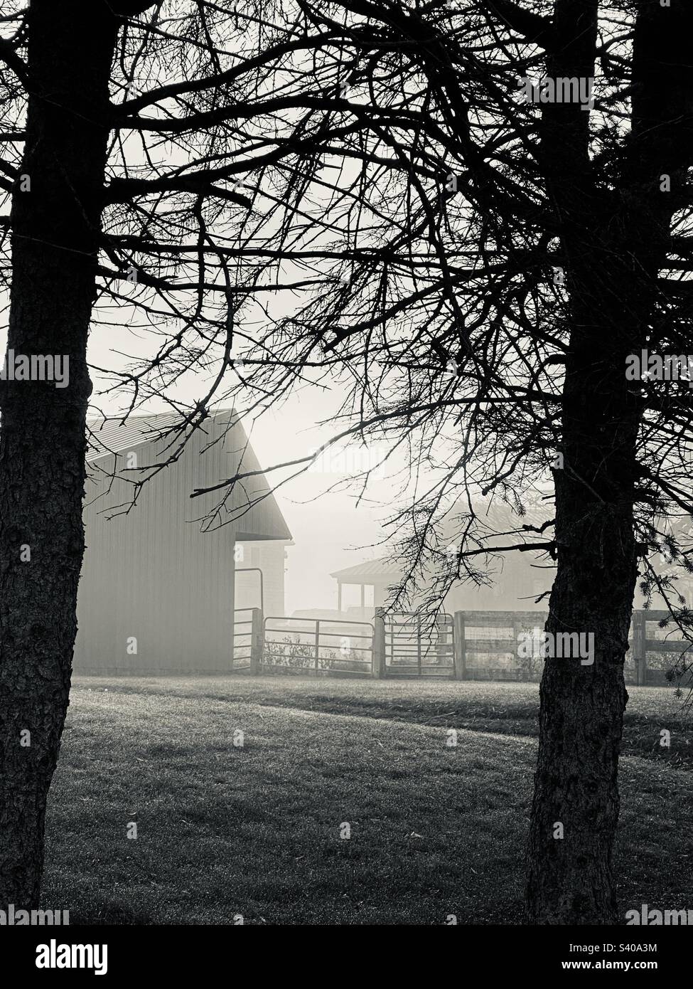 Fog barn hi-res stock photography and images - Alamy
