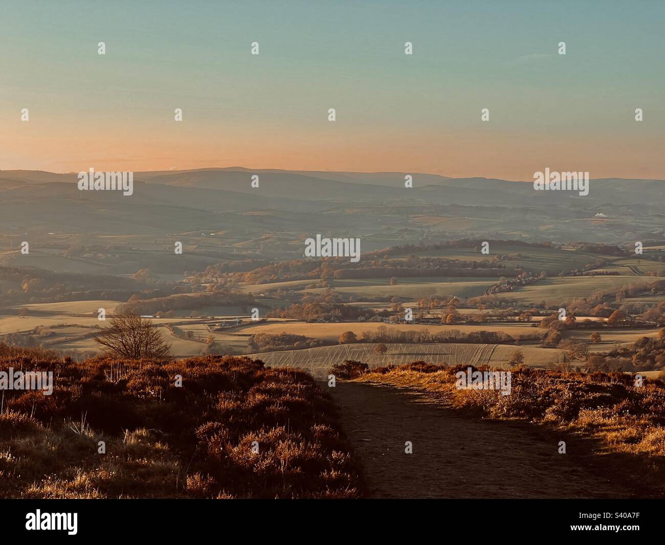 Quantocks hi-res stock photography and images - Alamy